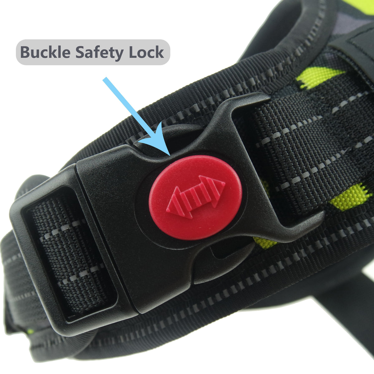 Green Squiggle – Built For Dogs